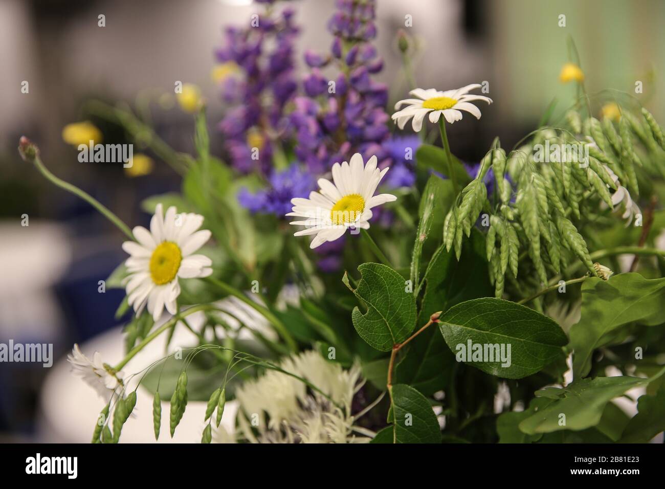 Bouquet of fresh field of wildflowers Stock Photo - Alamy