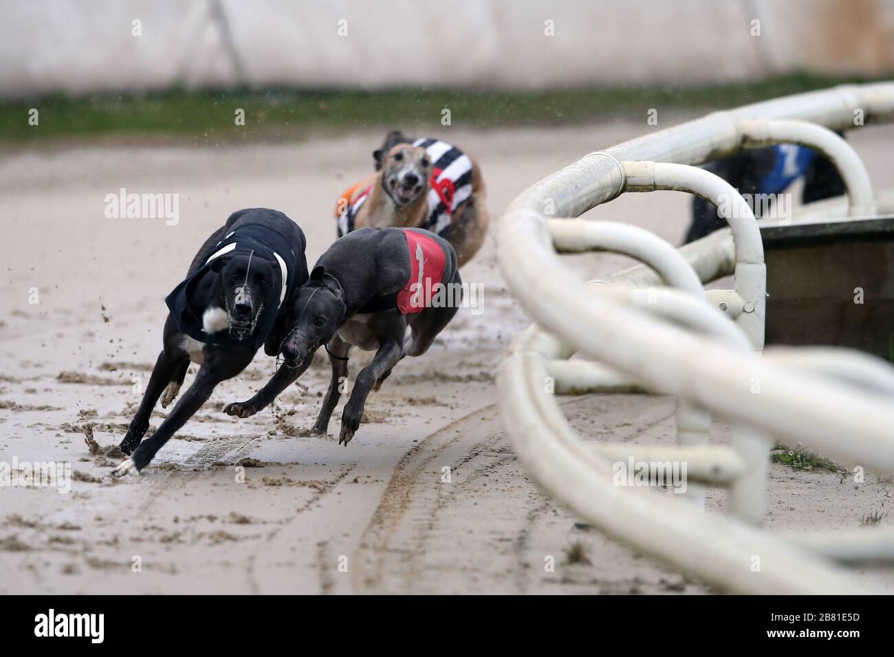 Perry barr greyhound stadium hi-res stock photography and images - Alamy