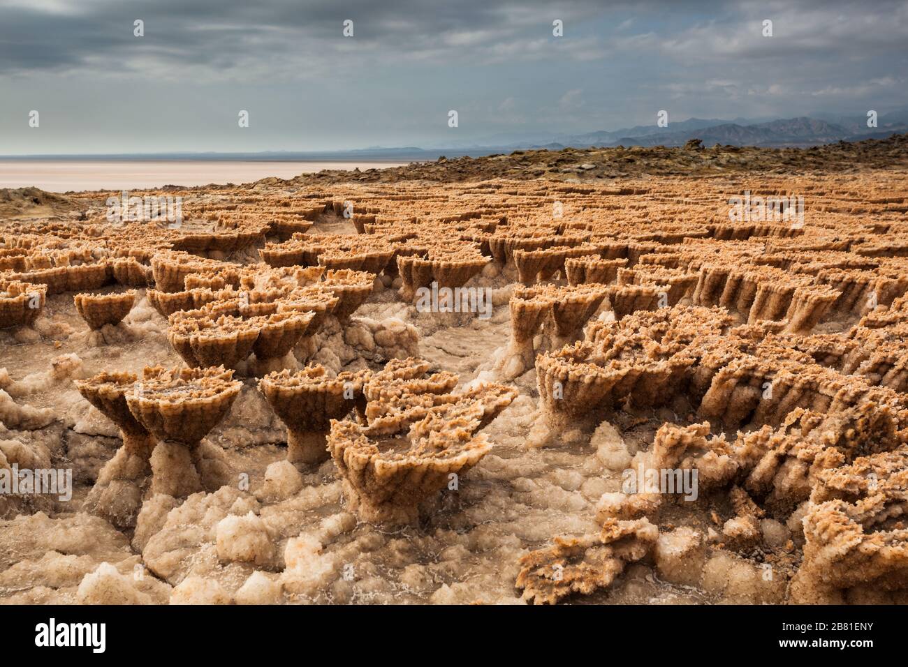 Dry desert landscape in Danakil region on the north of Ethiopia Stock ...