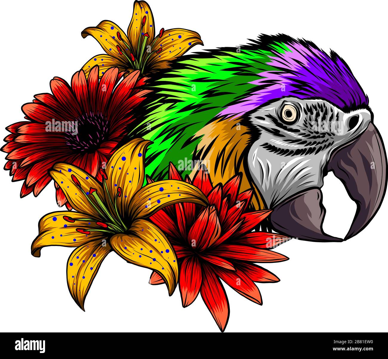 Parrot hibiscus flowers Cut Out Stock Images & Pictures - Alamy