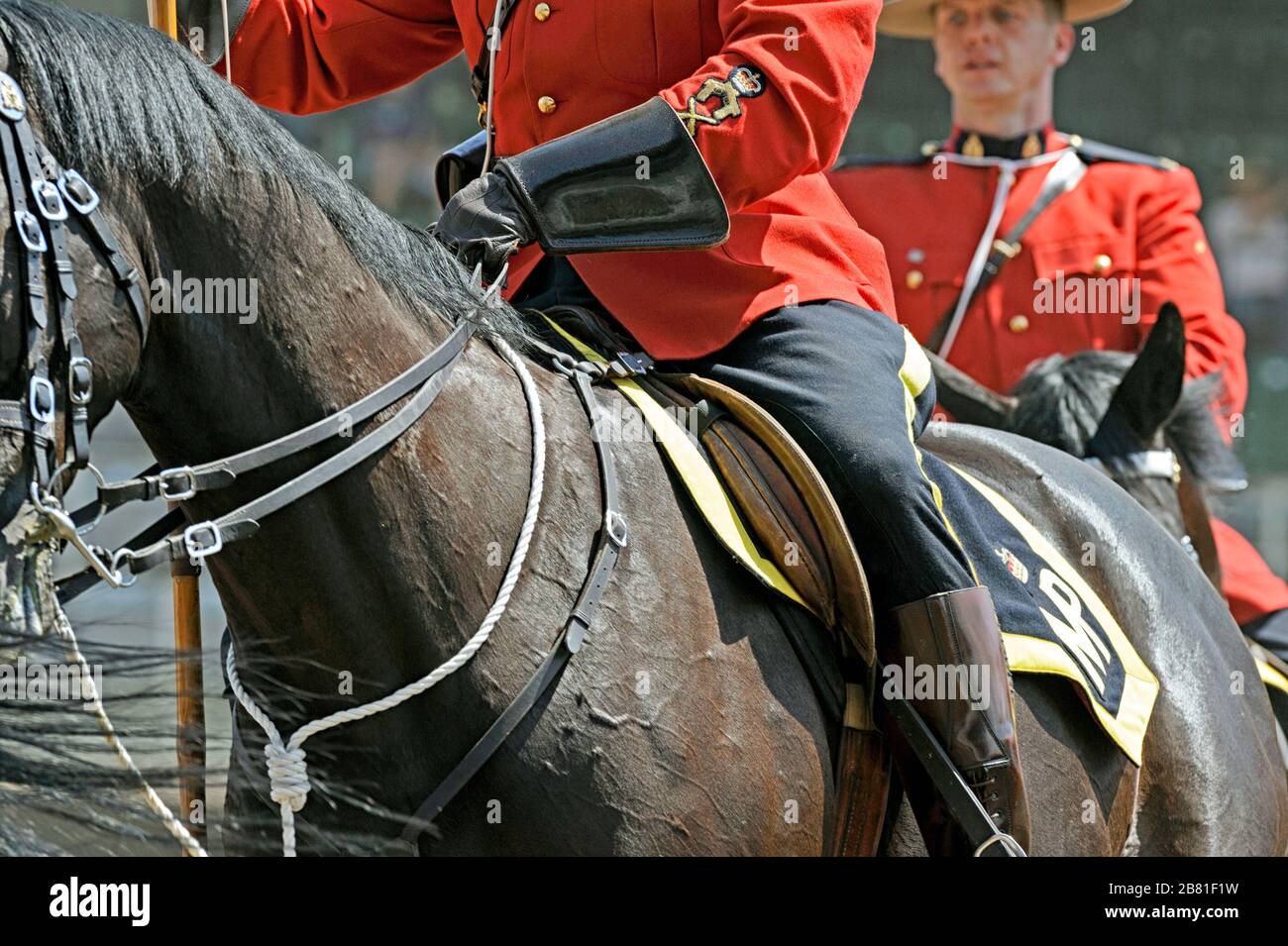Royal Canadian Mounted Police (RCMP) Musical Ride at the Calgary ...