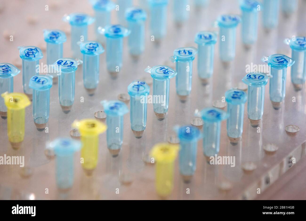Eppendorf Tubes High Resolution Stock Photography and Images - Alamy