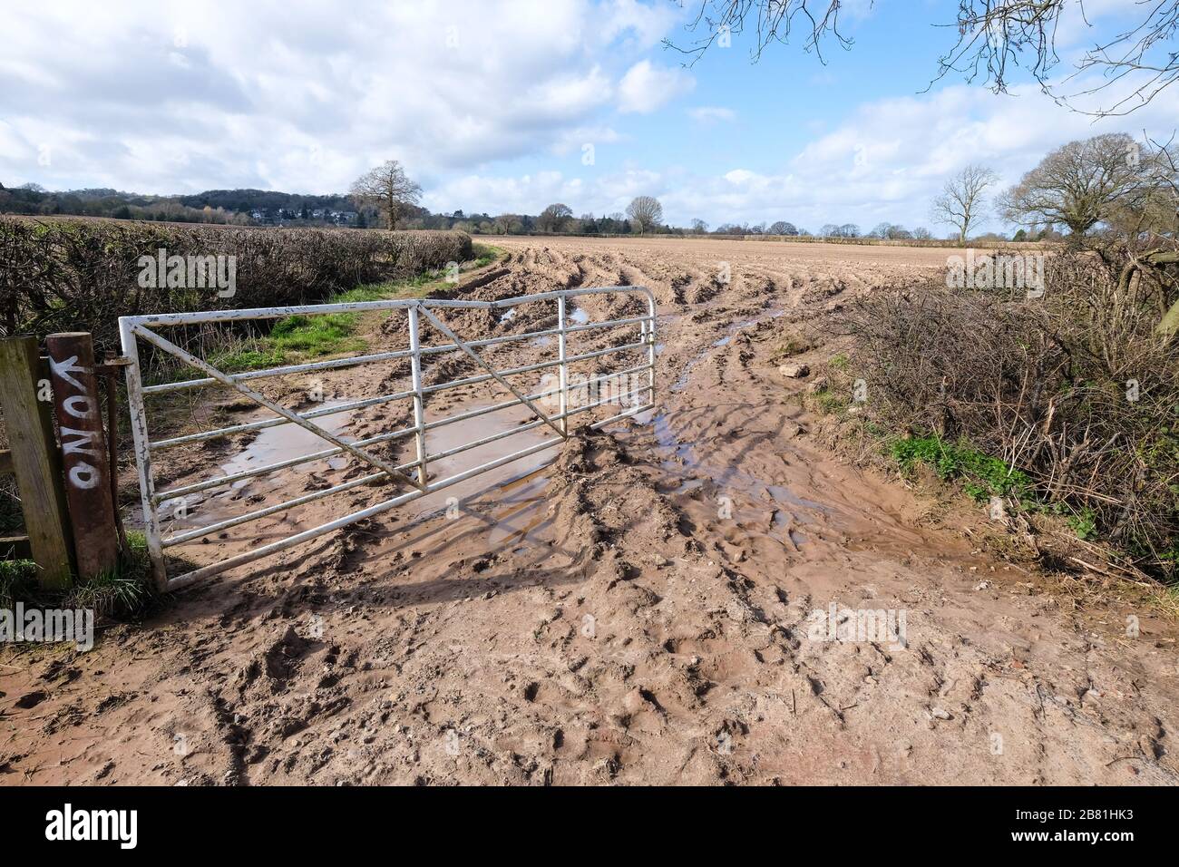 Rutted Road High Resolution Stock Photography and Images - Alamy