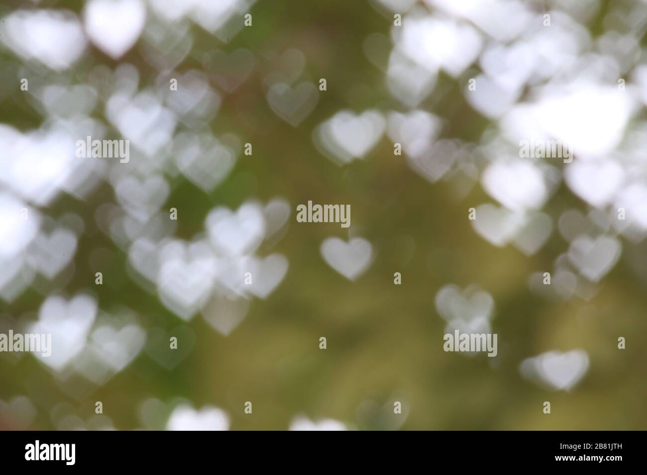 Hearts In Nature Wallpaper