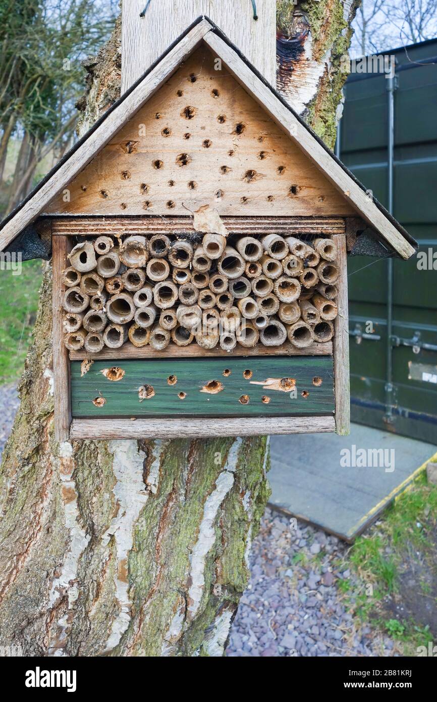 Insect hotel uk hi-res stock photography and images - Alamy