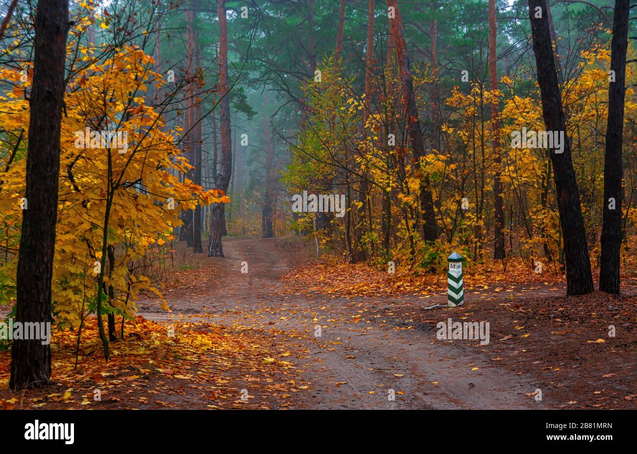 Orange colors in nature hi-res stock photography and images - Alamy
