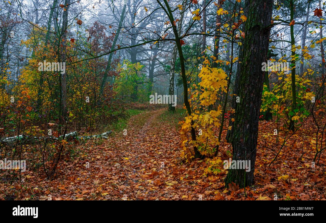 The beauty of colors in nature hi-res stock photography and images - Alamy
