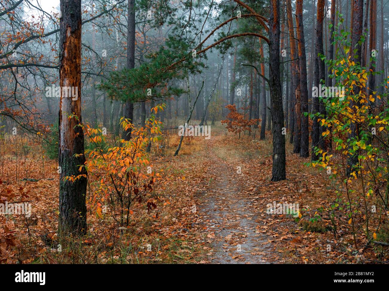 The beauty of colors in nature hi-res stock photography and images - Alamy