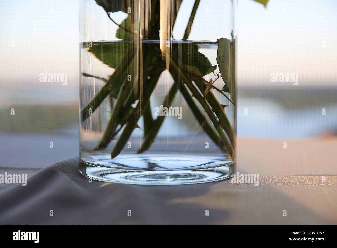 White roses Flower Arrangement in a glass vase Stock Photo - Alamy