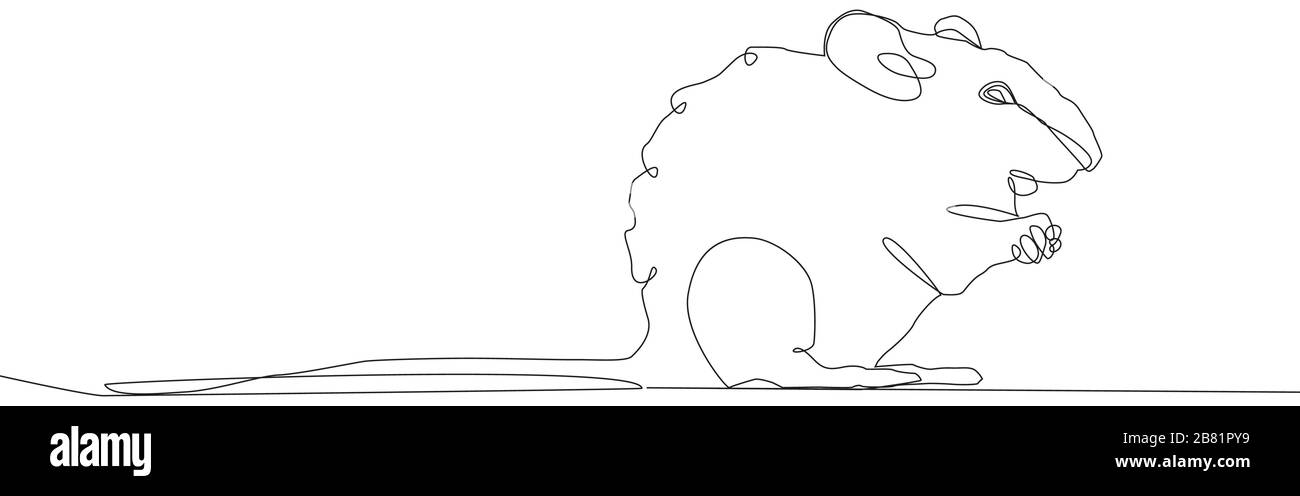 Rat mouse continuous line drawing. One hand drawn single lineart style ...