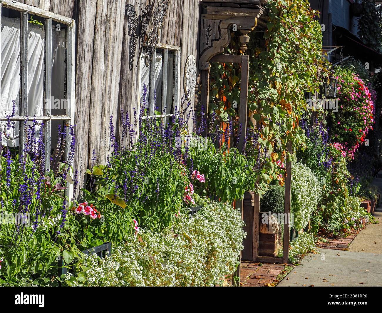 flowers outside of old house Stock Photo - Alamy
