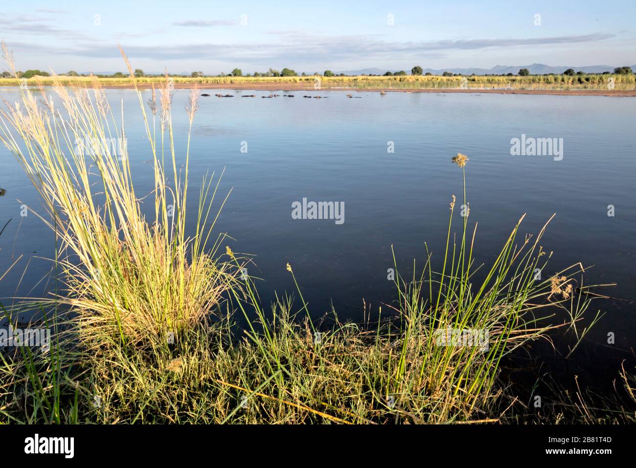 Chirundu border hi-res stock photography and images - Alamy