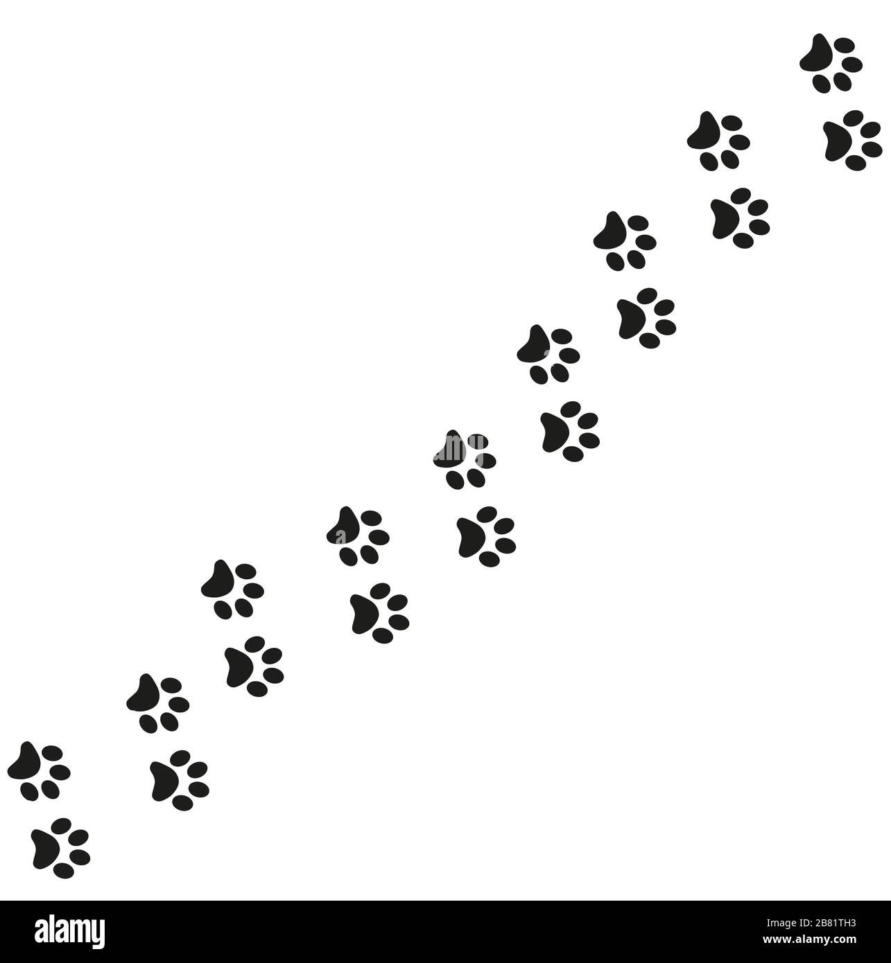 Track of cat dog tracks, footprint, design Stock Vector Image & Art - Alamy