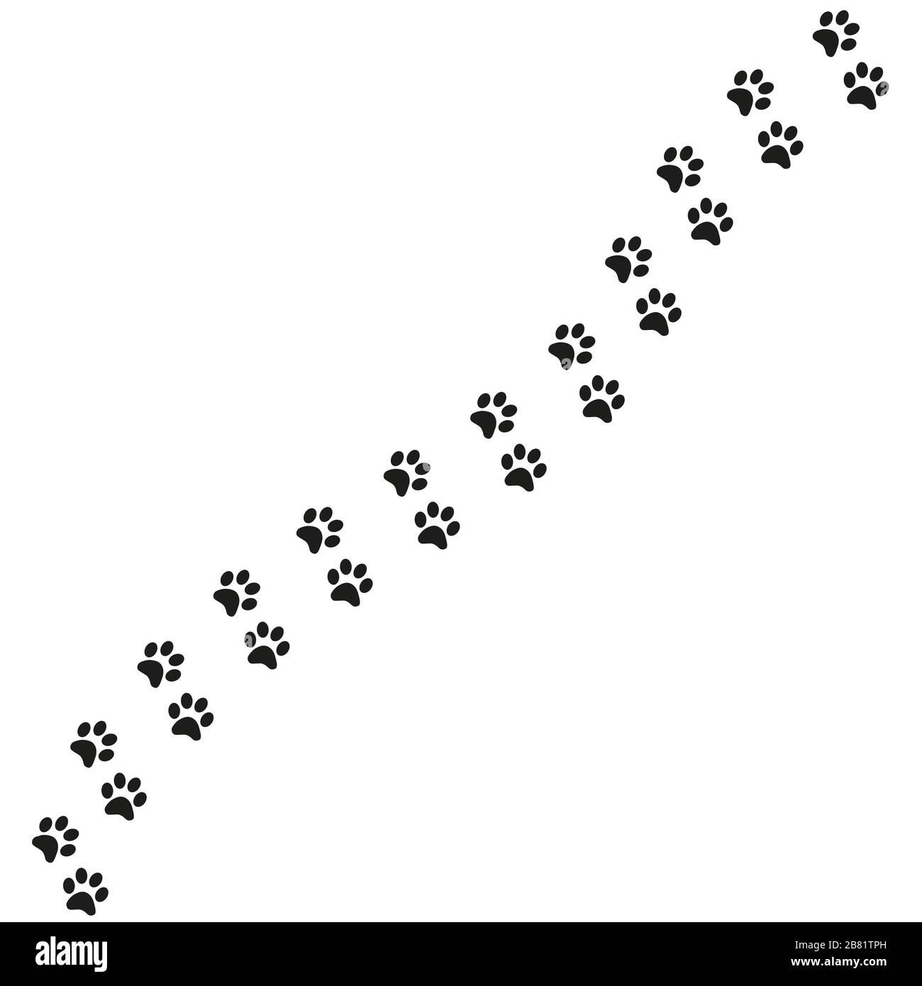 Track of cat dog tracks, footprint, design Stock Vector Image & Art - Alamy