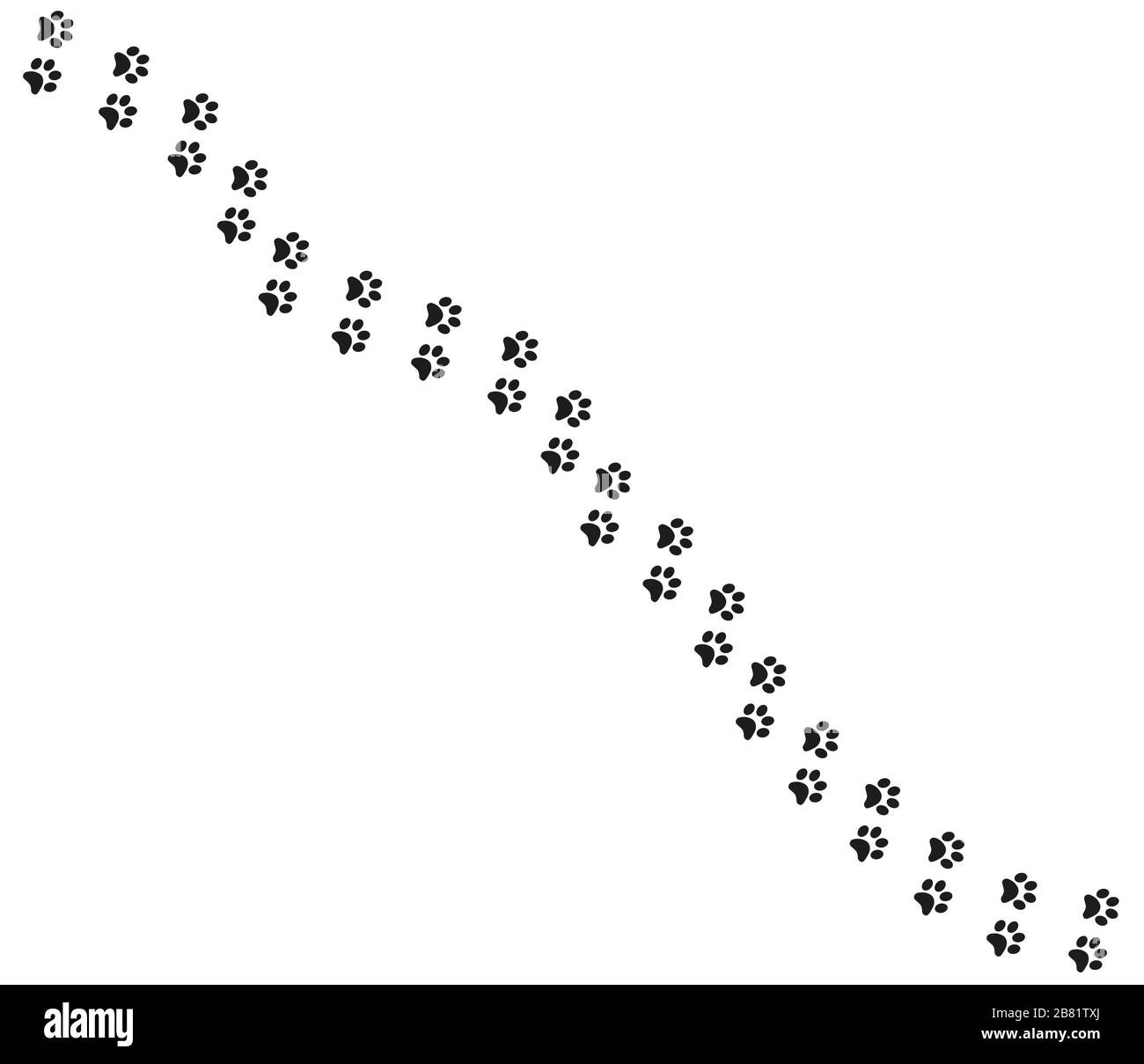 Track of cat dog tracks, footprint, design Stock Vector Image & Art - Alamy