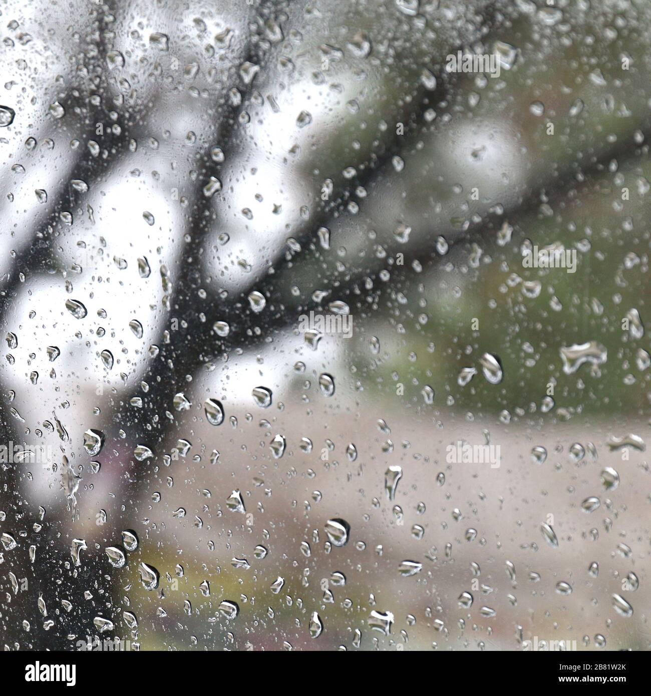 Nature fresh wet background with water raindrops transparency on glass ...