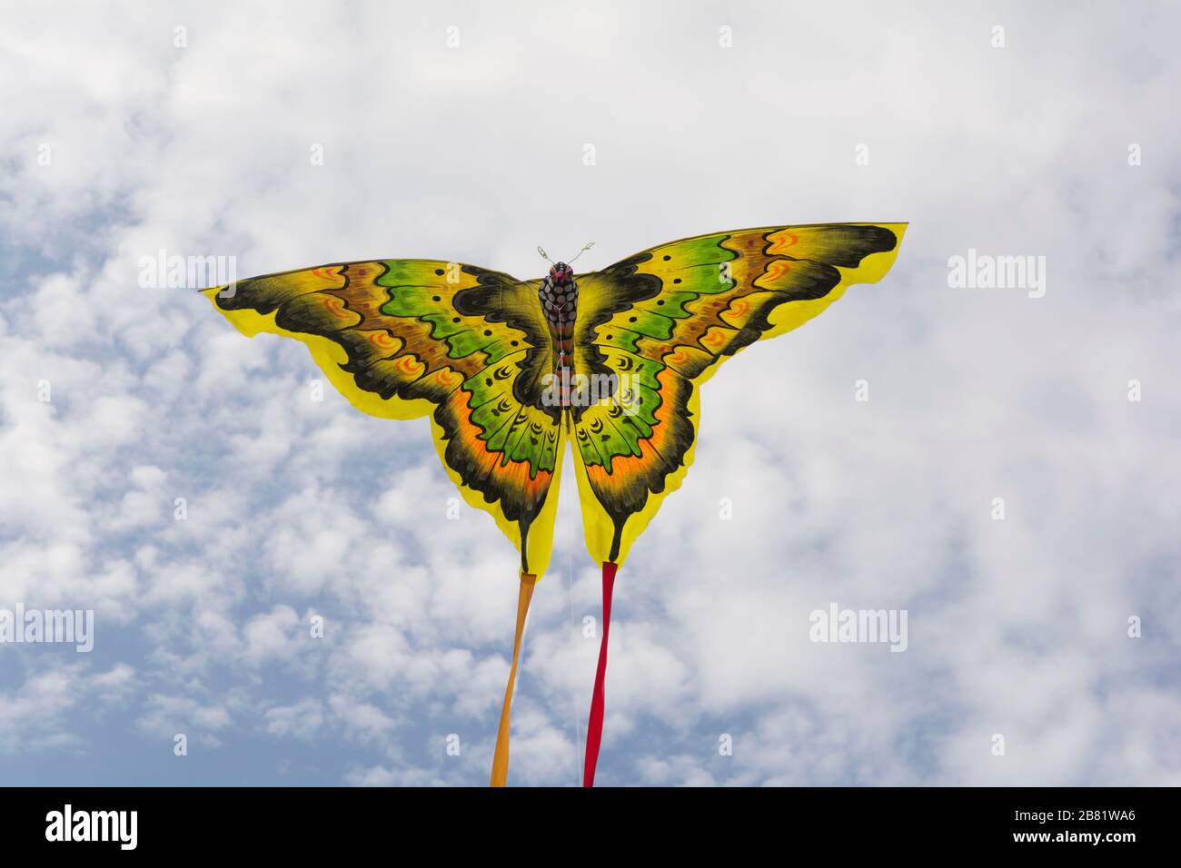 Colourful moth hi-res stock photography and images - Alamy