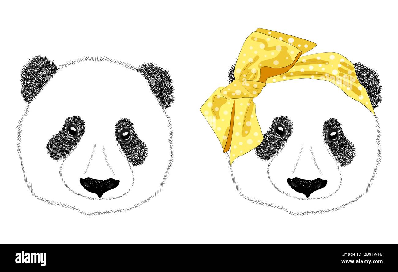Panda Face Drawing Hands