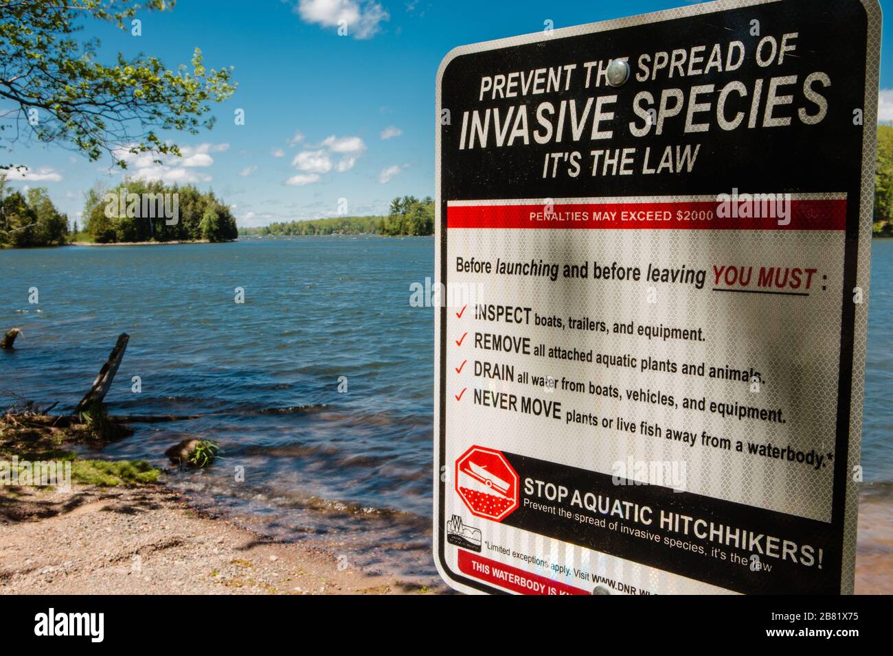 Invasive Species Lake High Resolution Stock Photography and Images - Alamy