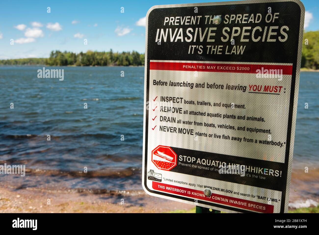 Invasive Species Lake High Resolution Stock Photography and Images - Alamy