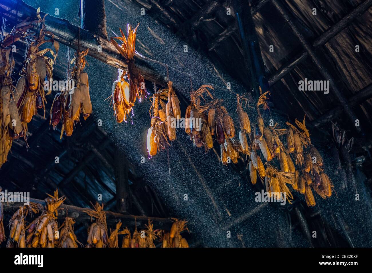 Hanging indian corn hi-res stock photography and images - Alamy