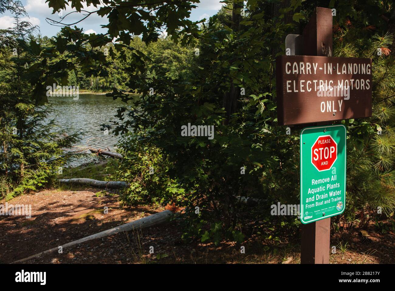 Northern Water Hemlock High Resolution Stock Photography and Images - Alamy
