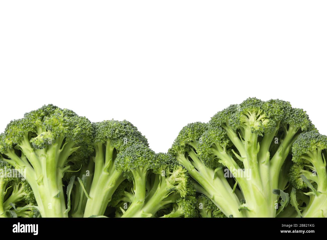 Frame of broccoli isolated on white background. Fresh vegetable Stock ...