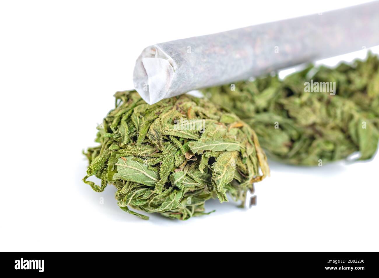 Pile of medical dried cannabis and marijuana isolated on white ...