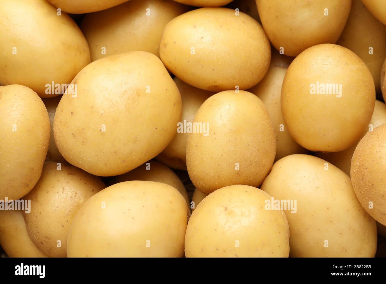 Close up young potato hi-res stock photography and images - Alamy