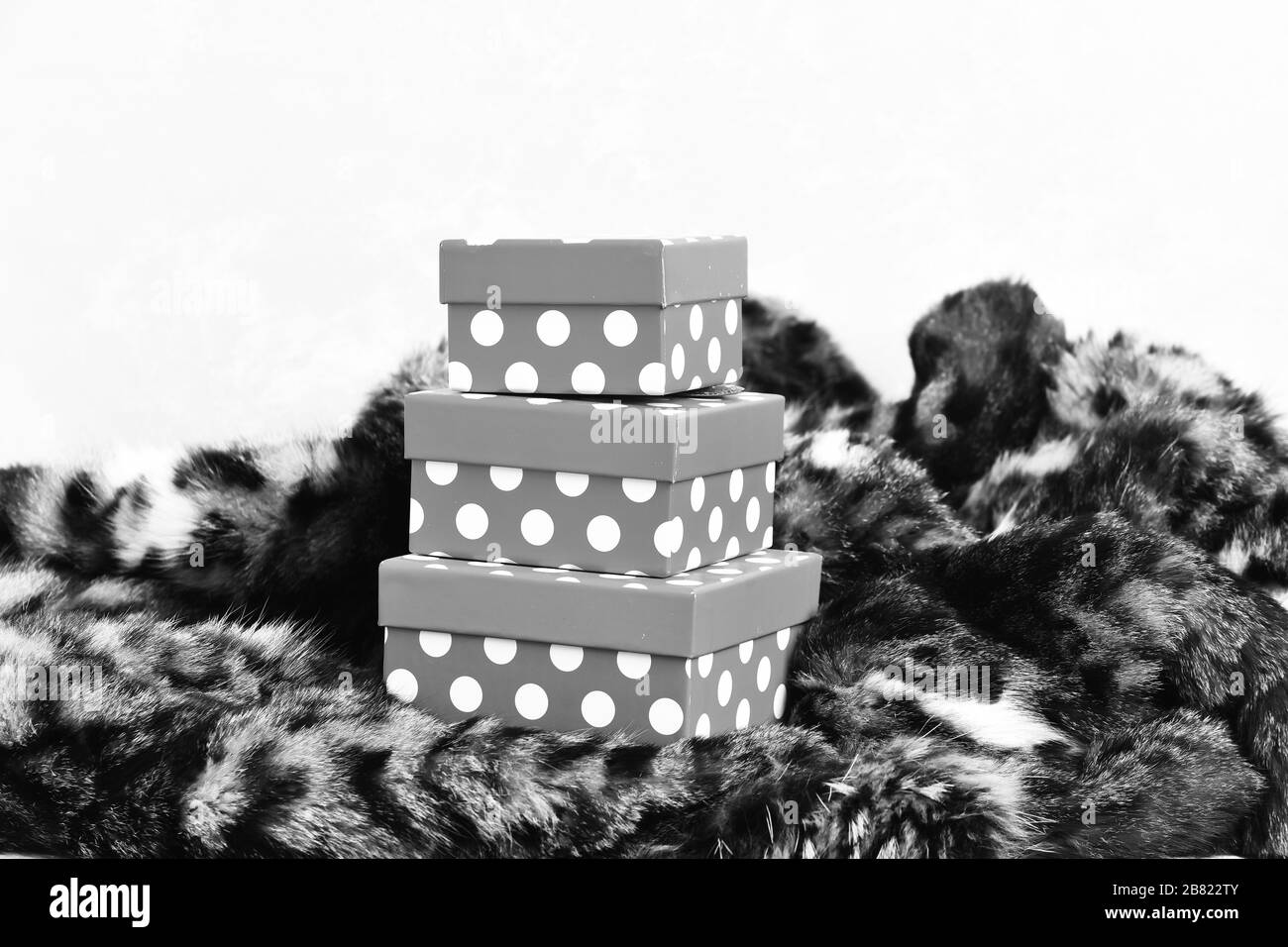 Colorful orange and pink polka dotted gift boxes on spotted fluffy fur ... Colorful orange and pink polka dotted gift boxes on spotted fluffy fur ...