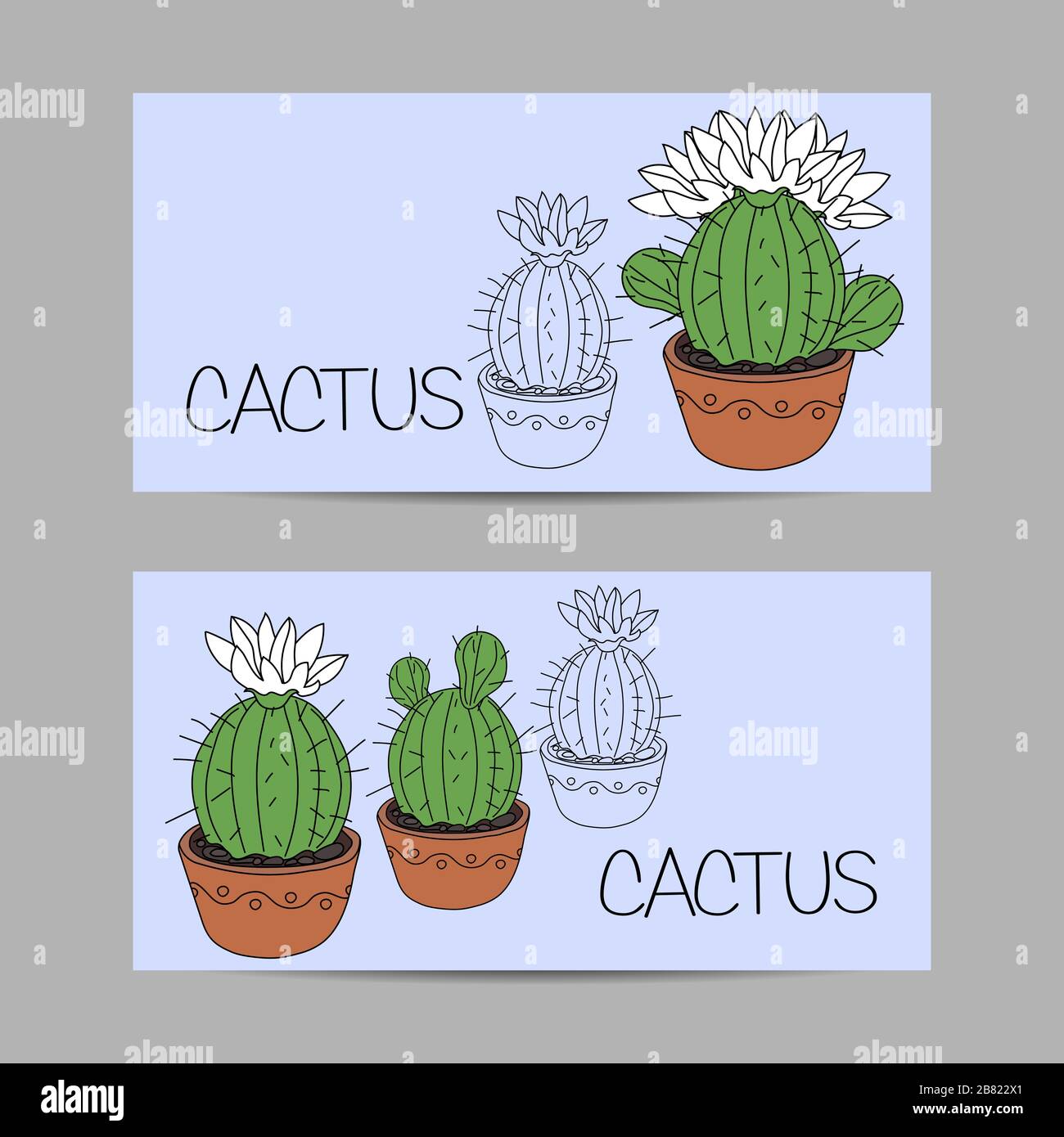 Set of horizontal banners with cactus and succulents in the pots. Hand ...