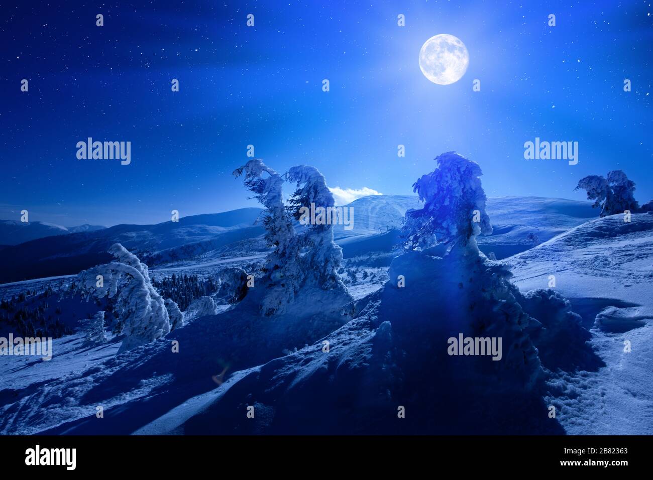 Full moon over winter deep forest covered with snow on winter night ...