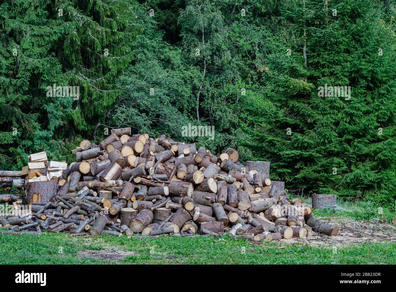 Logs in a circle hi-res stock photography and images - Alamy