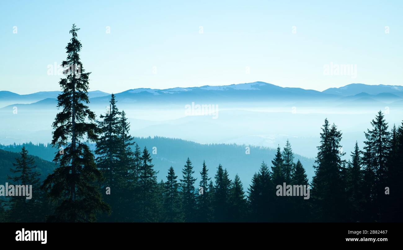 Panoramic view of winter hills and valley covered with snow and white ...