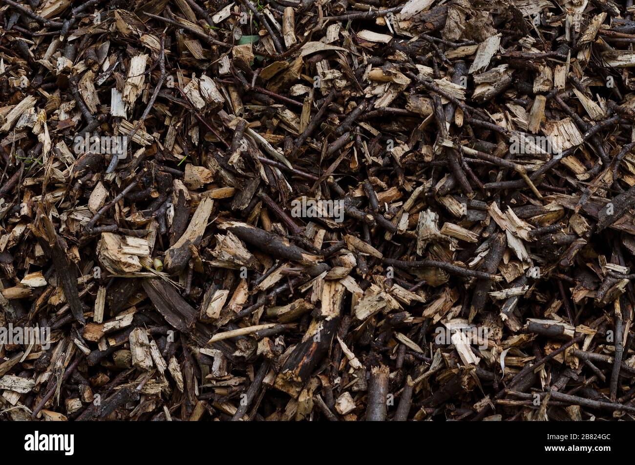 ground tree branches for fertilizer Stock Photo - Alamy