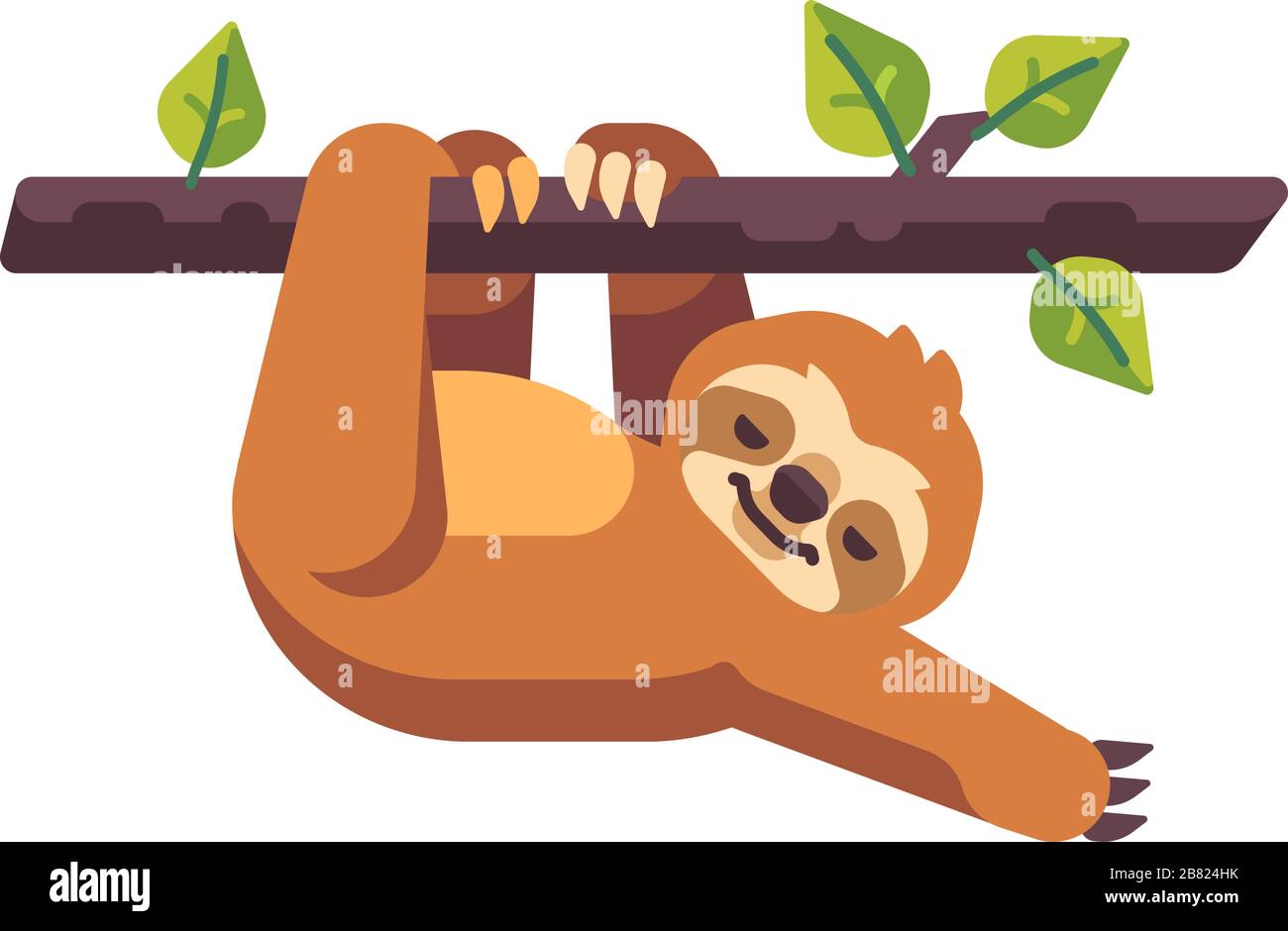 Cute sloth hanging from a tree flat illustration Stock Vector Image ...
