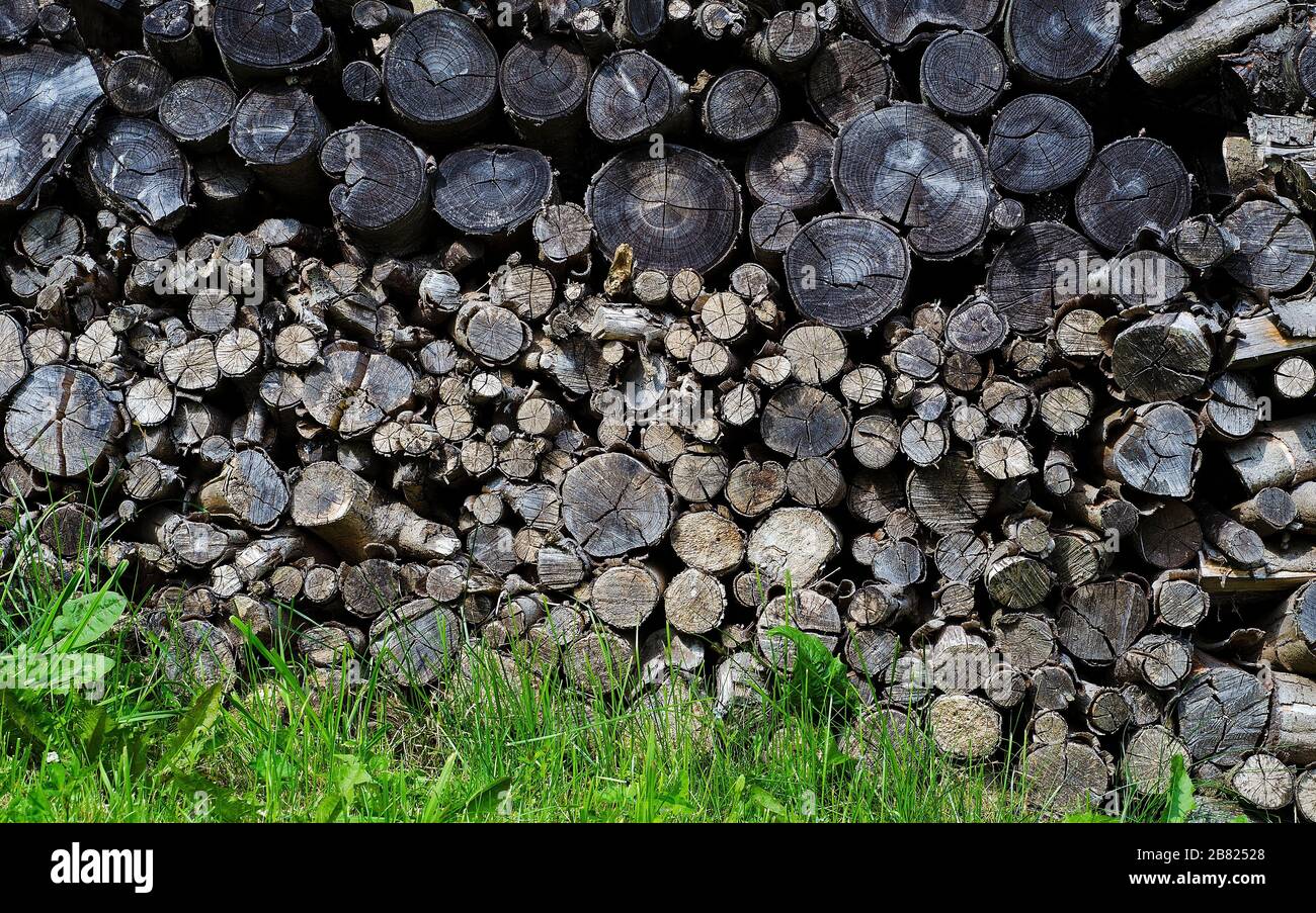 Pile of old logs hi-res stock photography and images - Alamy