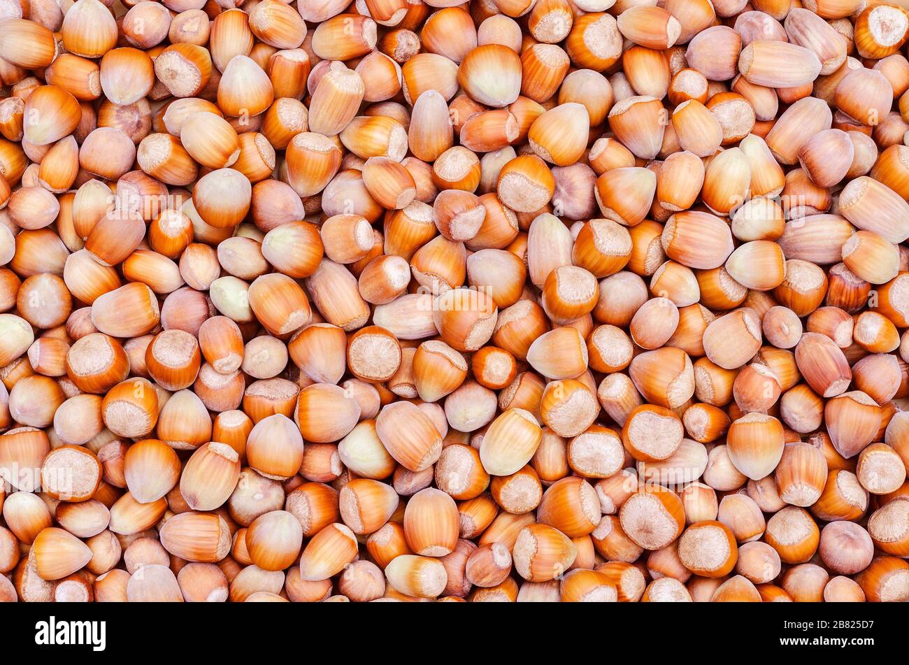 Ripe fruit vegetable dry hi-res stock photography and images - Alamy