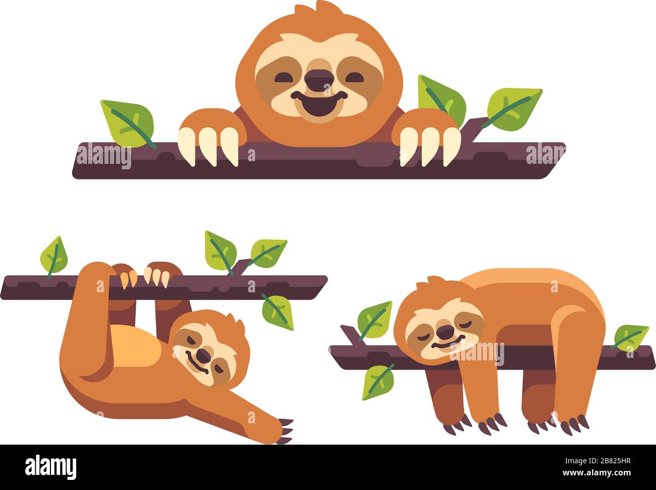 Sloth tree sleeping Cut Out Stock Images & Pictures - Alamy