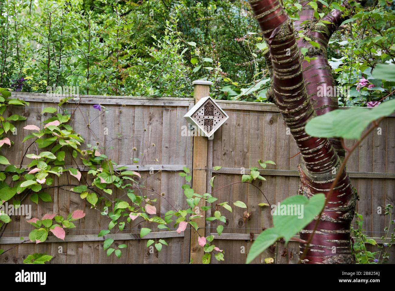 Overwintering insect hide Stock Photo - Alamy