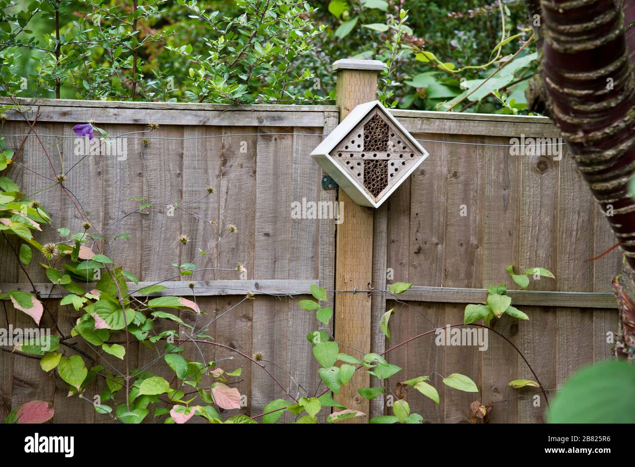 Overwintering insect hide Stock Photo - Alamy