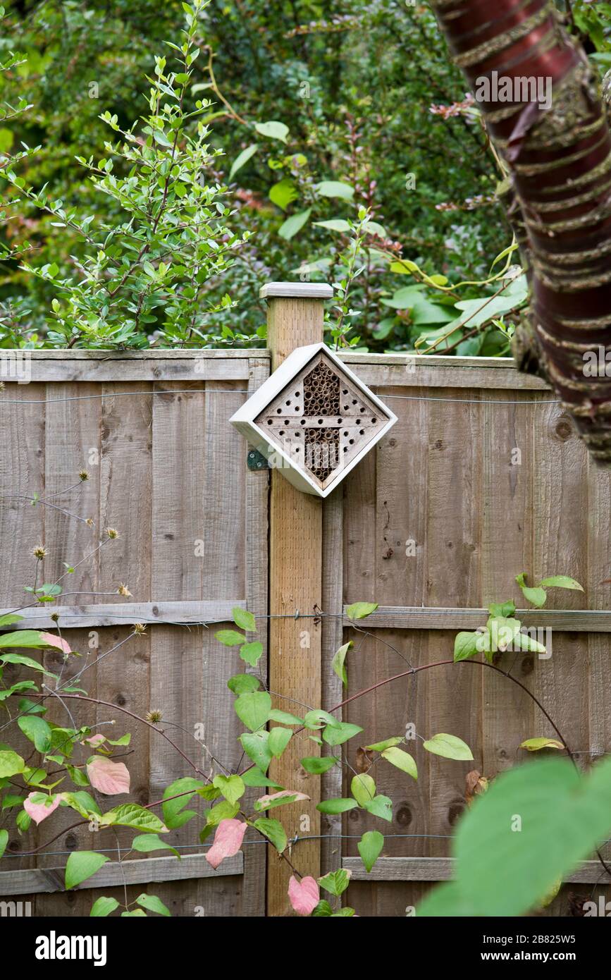 Over wintering insects hi-res stock photography and images - Alamy