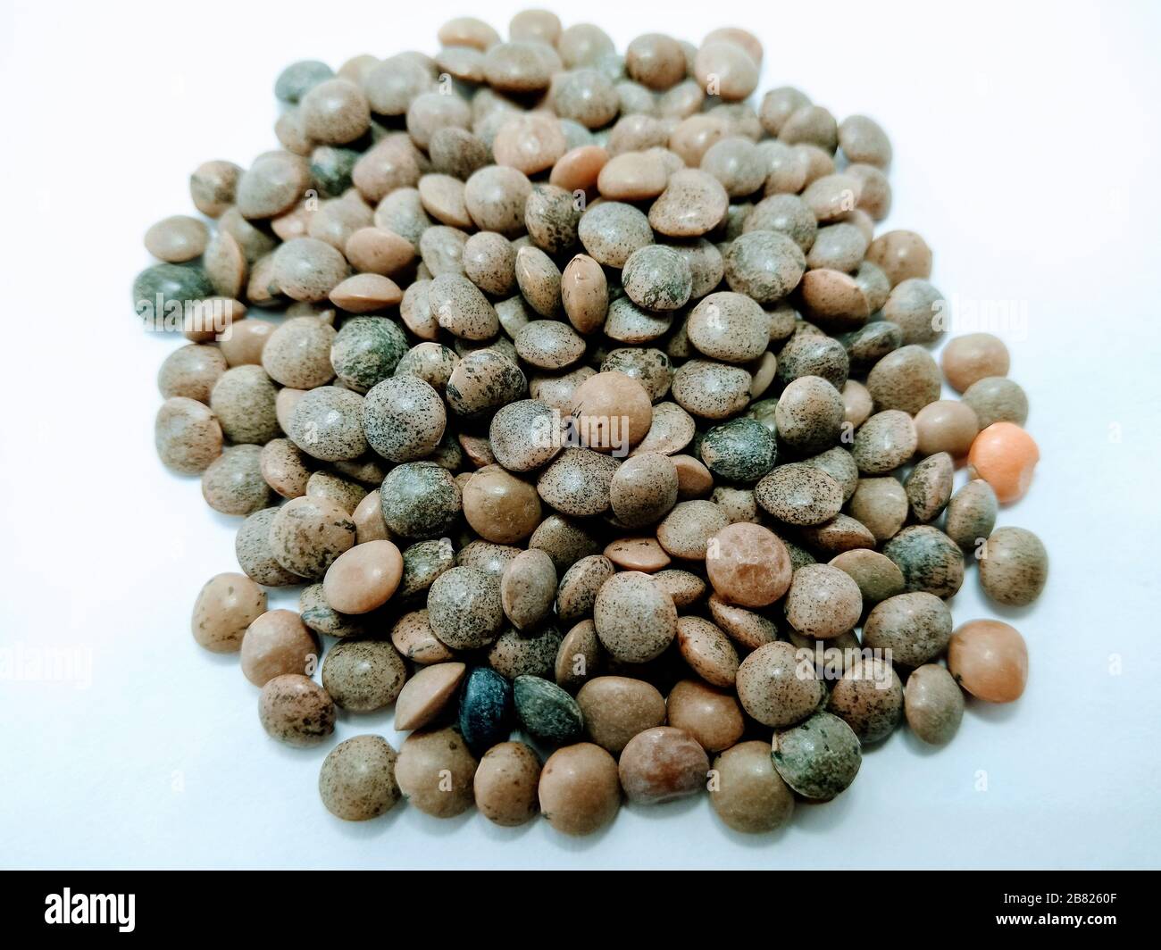 A picture of lentil Stock Photo - Alamy
