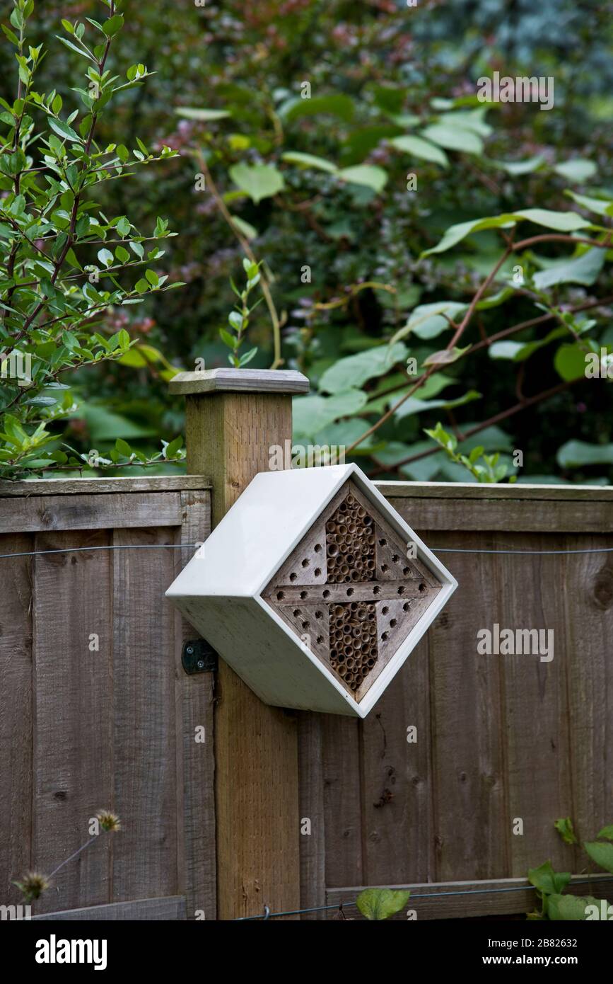 Over wintering insects hi-res stock photography and images - Alamy