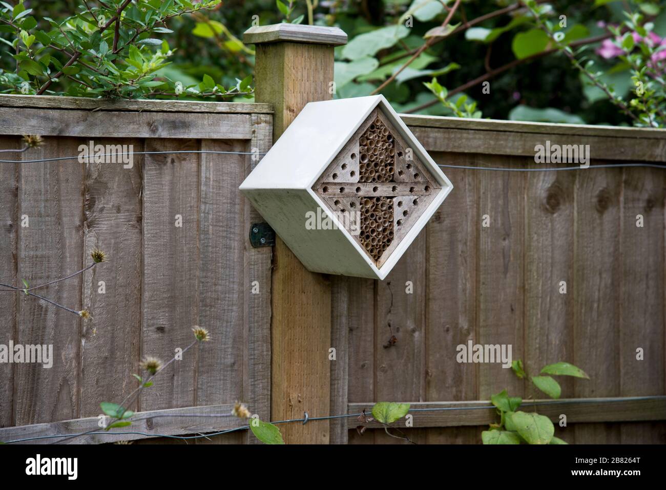 Overwintering insect hide Stock Photo - Alamy