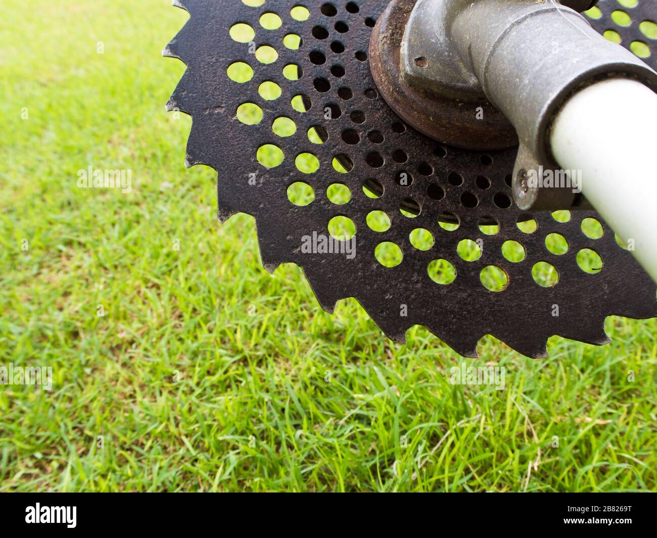 Gnarled bushes hi-res stock photography and images - Alamy