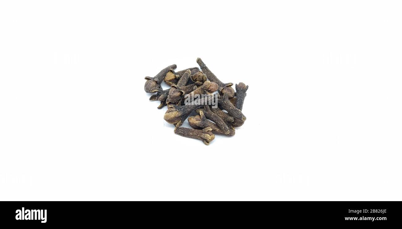 A picture of bud Cut Out Stock Images & Pictures - Alamy