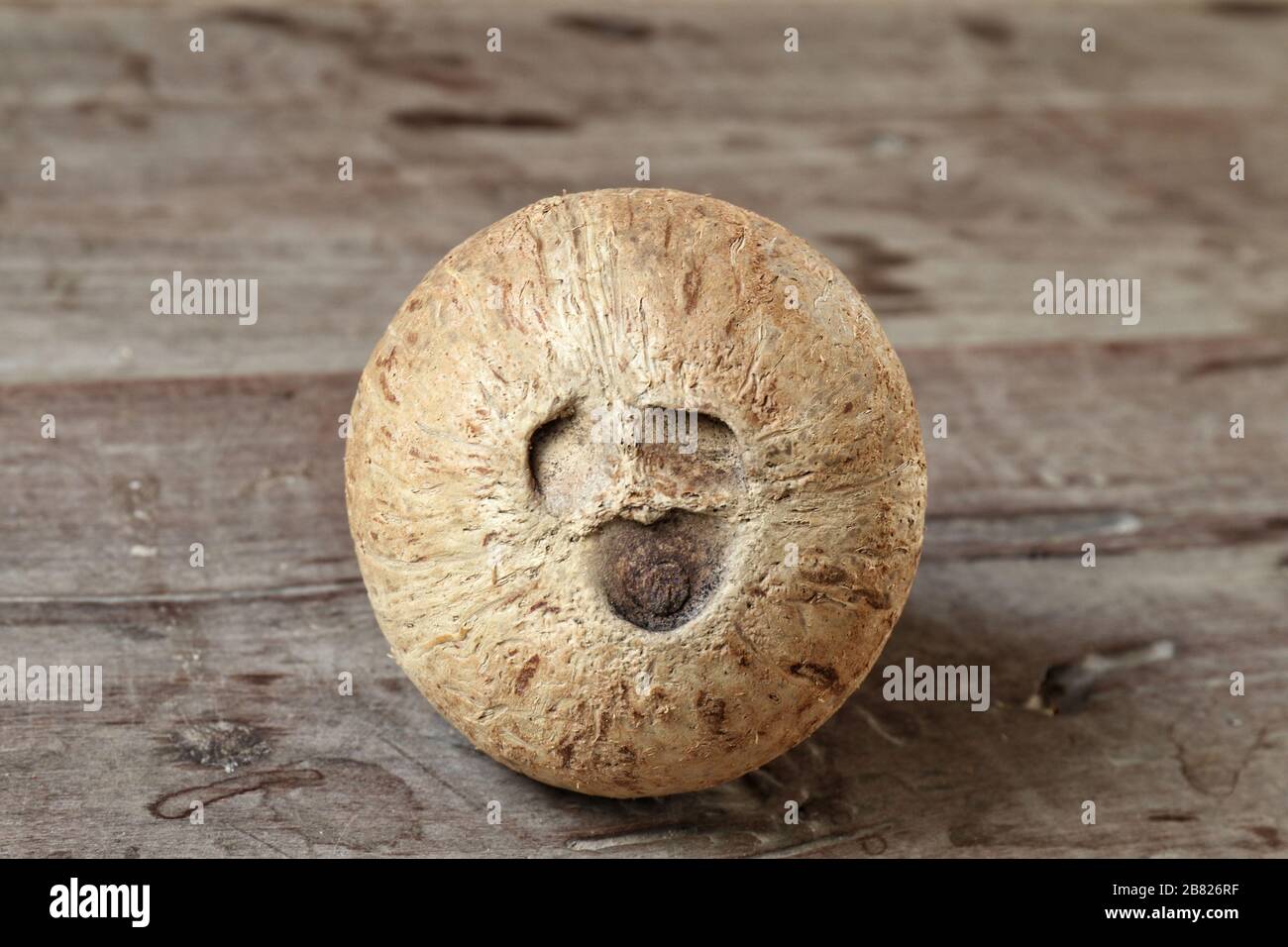 Empty coconut shell pile hi-res stock photography and images - Alamy