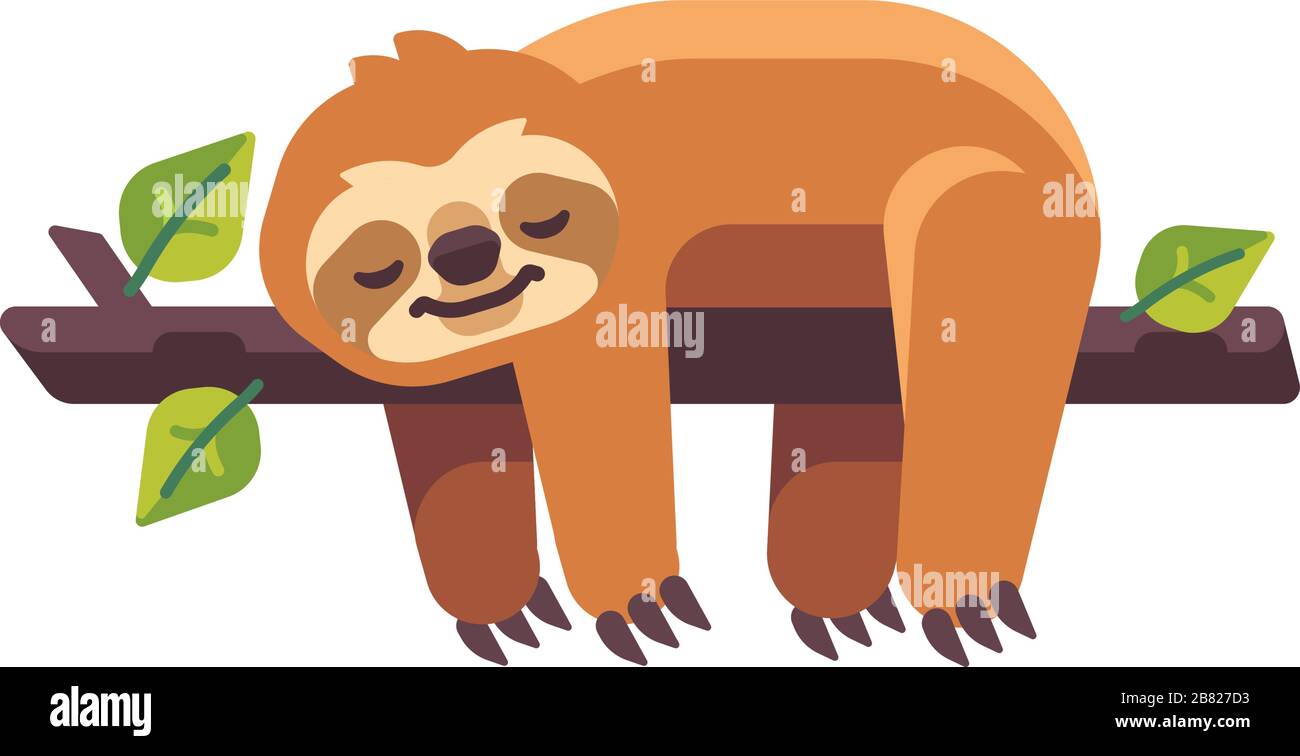 Cute sloth on branch Cut Out Stock Images & Pictures - Alamy