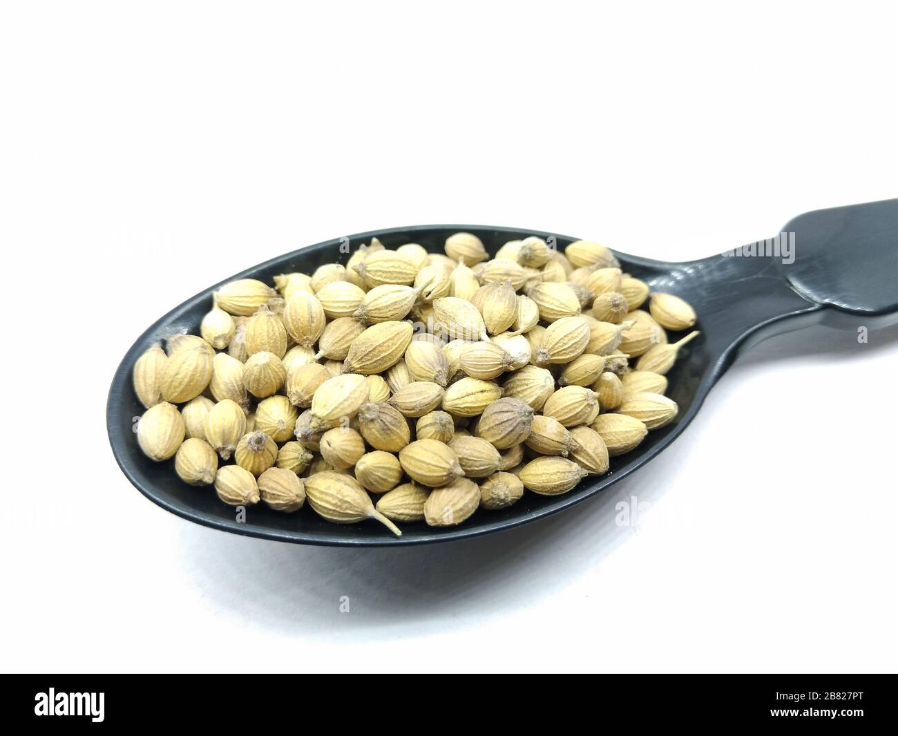 Coriander grain hi-res stock photography and images - Alamy